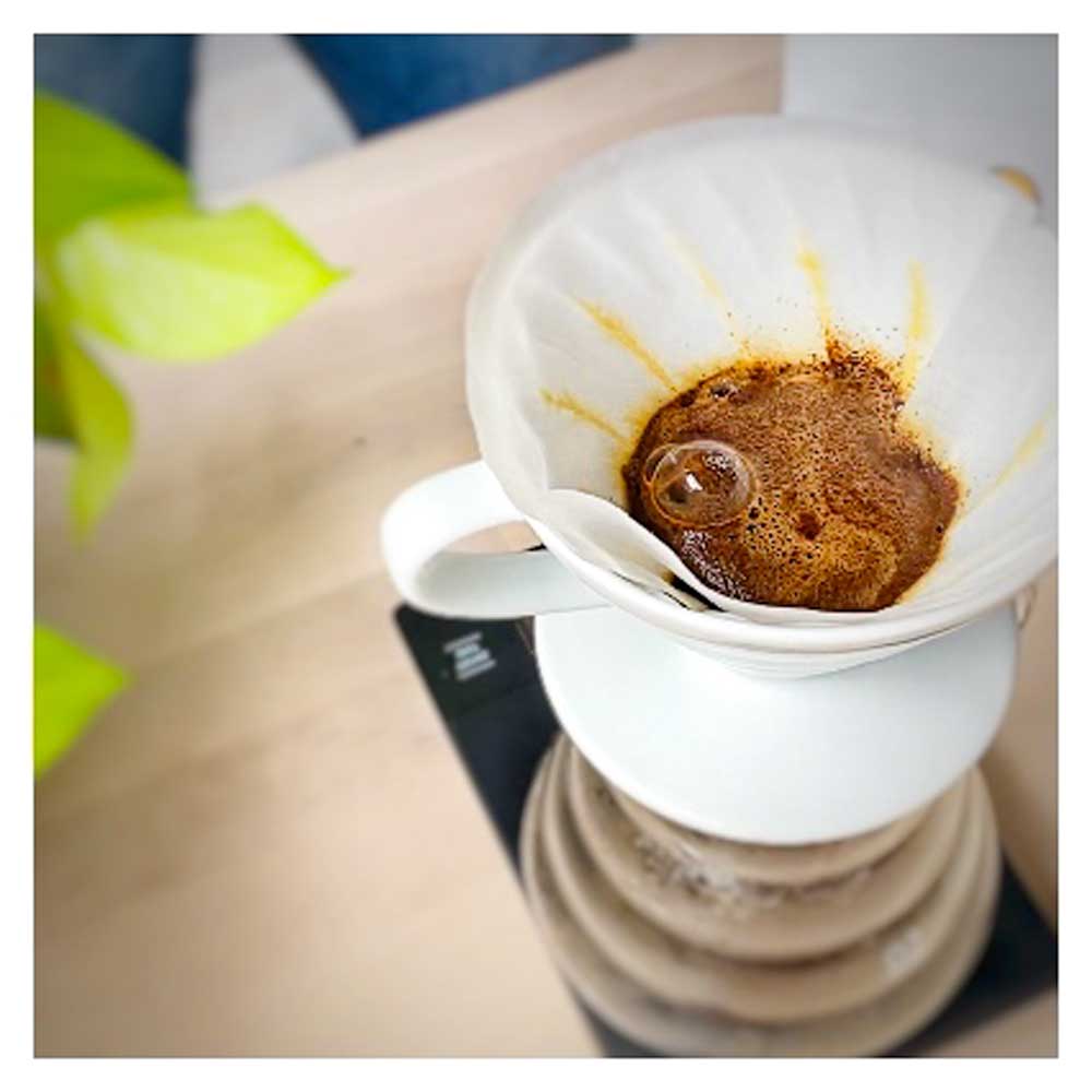 V60 coffee | Brewing guide | 23 Degrees Coffee Roasters