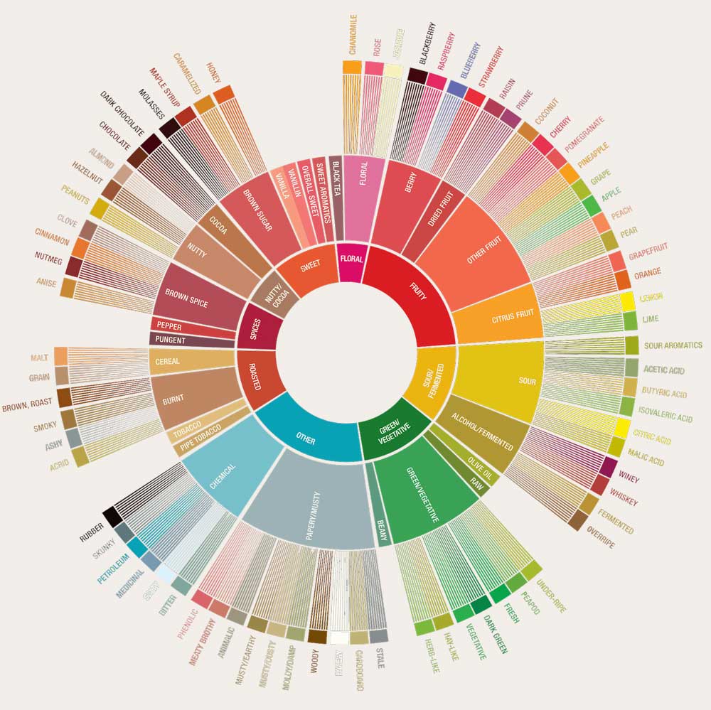 1:1 Coffee Tasting Class | Melbourne | 23 Degrees – 23 Degrees Coffee ...