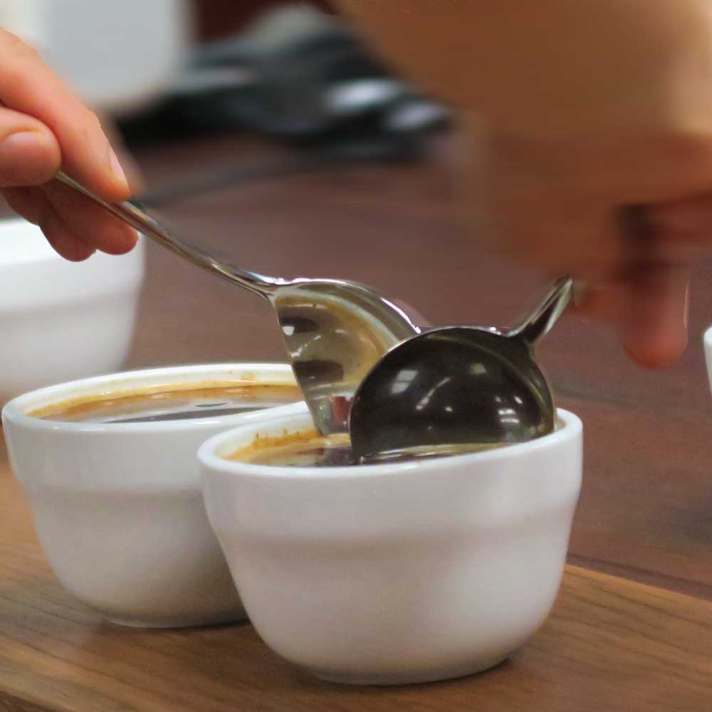 1:1 Coffee Tasting Class | Melbourne | 23 Degrees – 23 Degrees Coffee ...