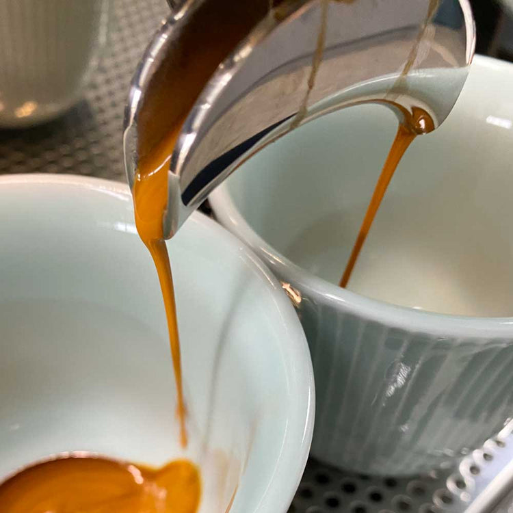 Espresso Extraction guide | Espresso made easy. – 23 Degrees Coffee ...